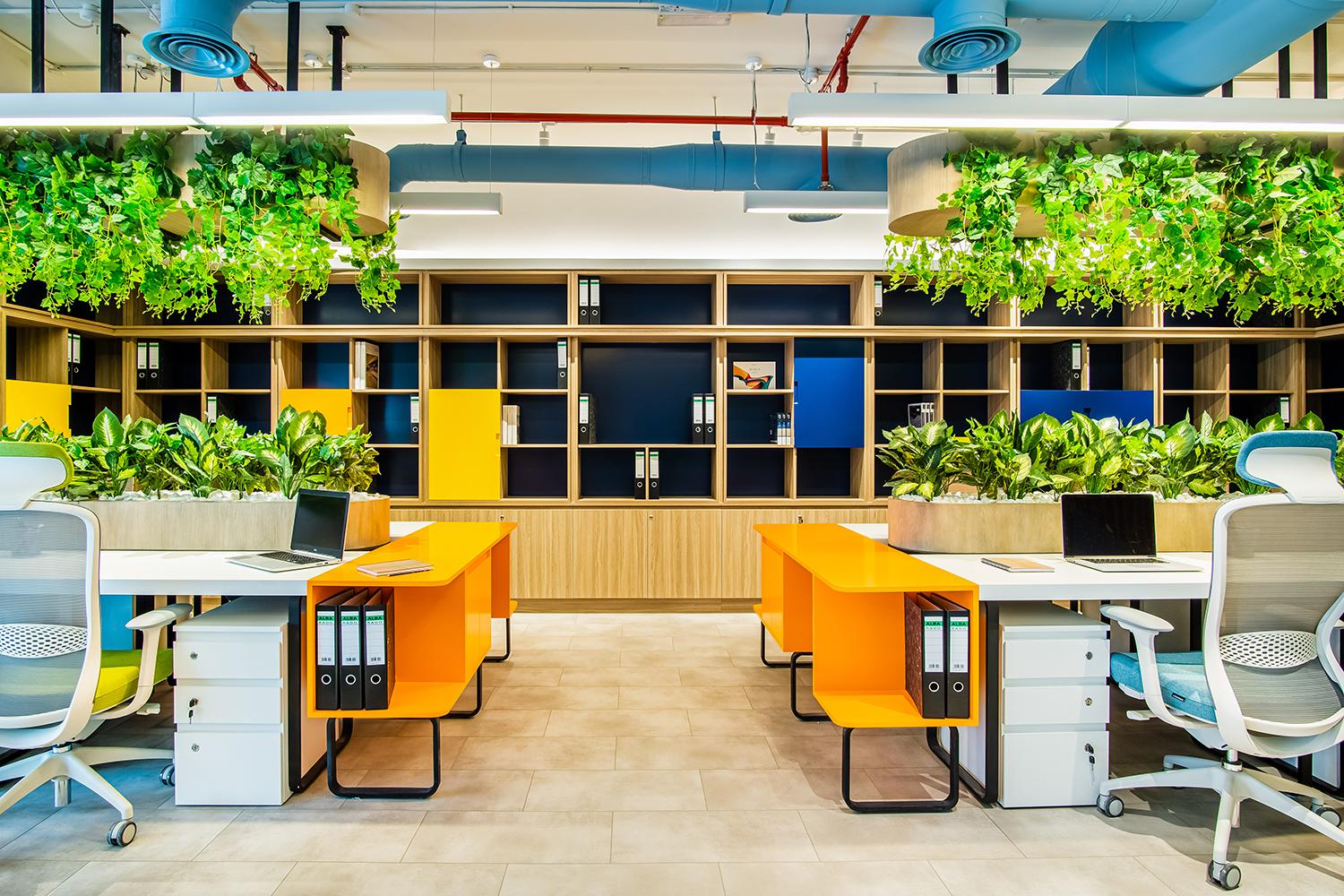 Ultimate Project Management | Fit-Out & Retail Delivery Experts ...